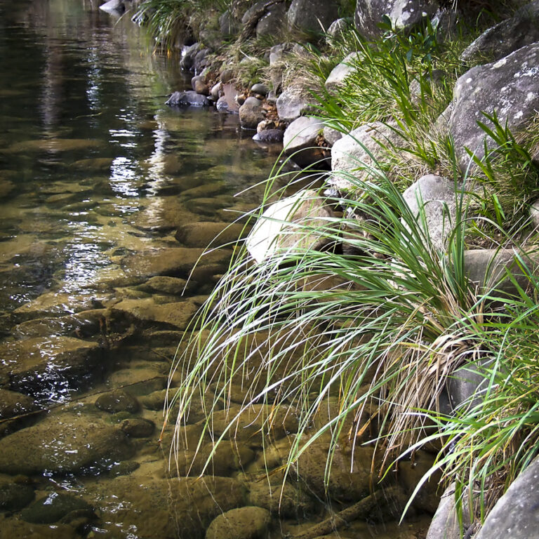 Pohangina – Welcome to the valley